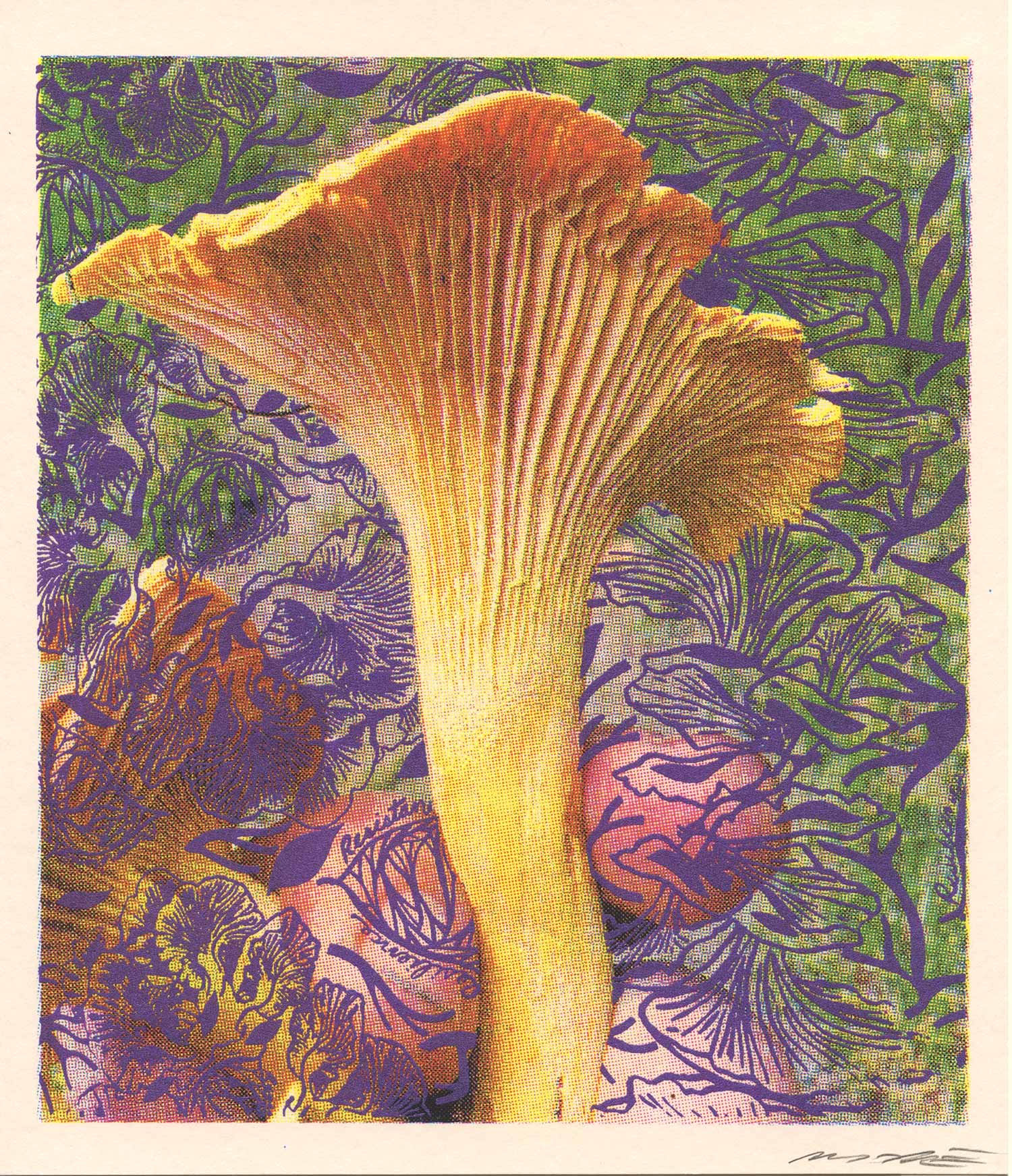 Fungi Magic - Justseeds